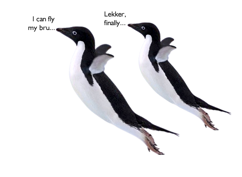 Bond Originators South Africa Calculator FNB ABSA Nedbank Sanlam ...